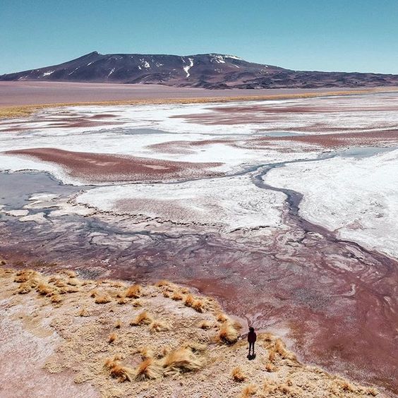 Pouště světa (Tim) - GANG ODVÁŽNÝCH